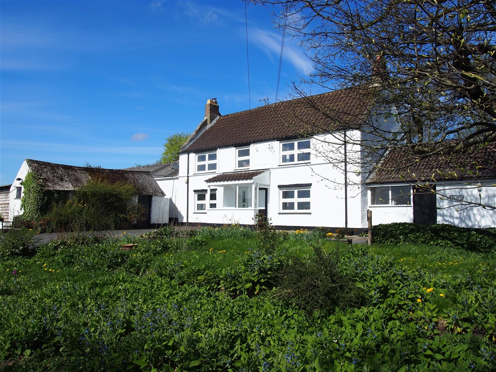 48 Cattery Businesses for Sale in England from Daltons Business
