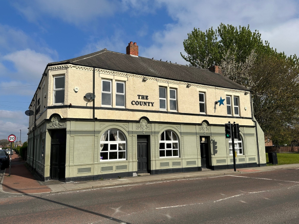 Pubs for sale near me store