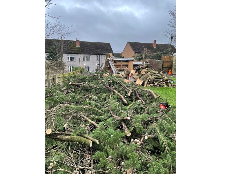 Highly Rated Tree Surgeon Business For Sale - Buy or Sell a UK Business ...