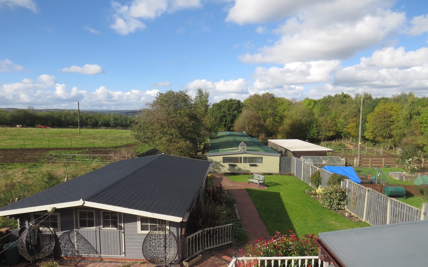 Very Well-known Family Run Cattery Business - Buy or Sell a UK Business ...