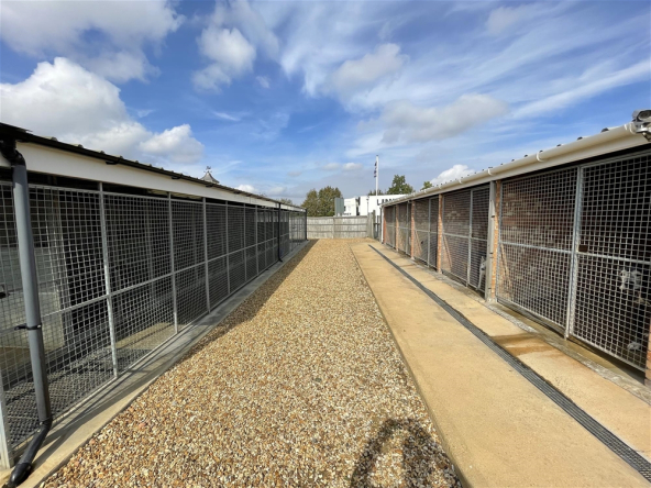 19 Cattery Businesses for Sale in England from Daltons Business