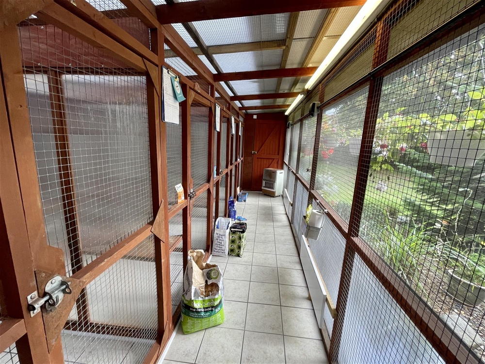 28 Cattery Businesses for Sale in England from Daltons Business