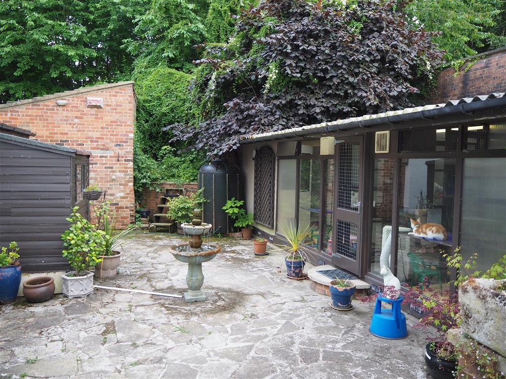 14 Cattery Businesses for Sale in England from Daltons Business