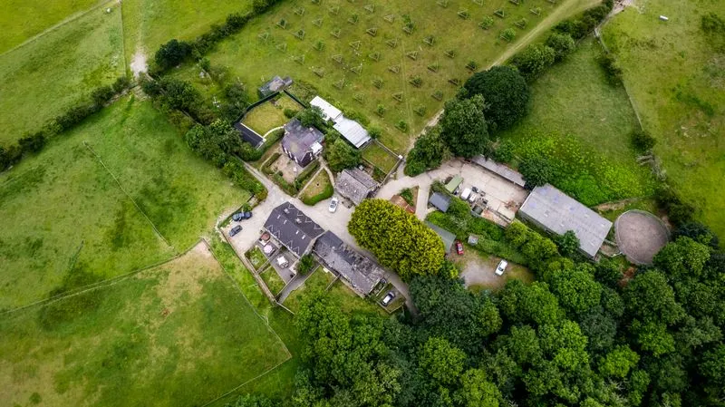 Owl Farm - Buy or Sell a UK Business with Daltons Business